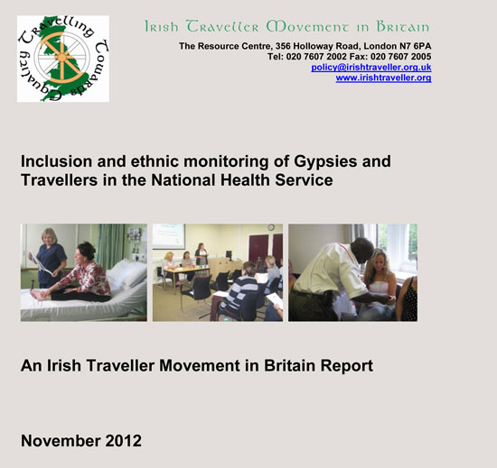 NHS inclusion and monitoring | Travellers Times