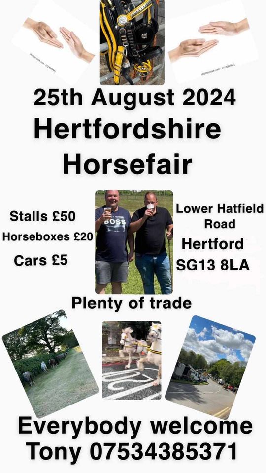 Hertfordshire Horse Fair | Travellers Times