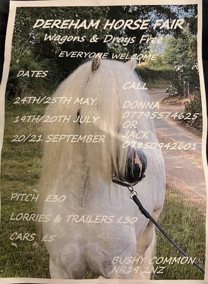 Dereham Horse Fair 2025 | Travellers Times