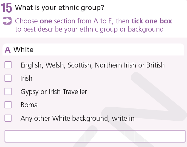 Stand Up and Be Counted-Census 2021-An interview with Mena Mongan ...