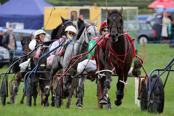 Richy-Boy Evans on competitive trotting – interview by Chris Smith ...