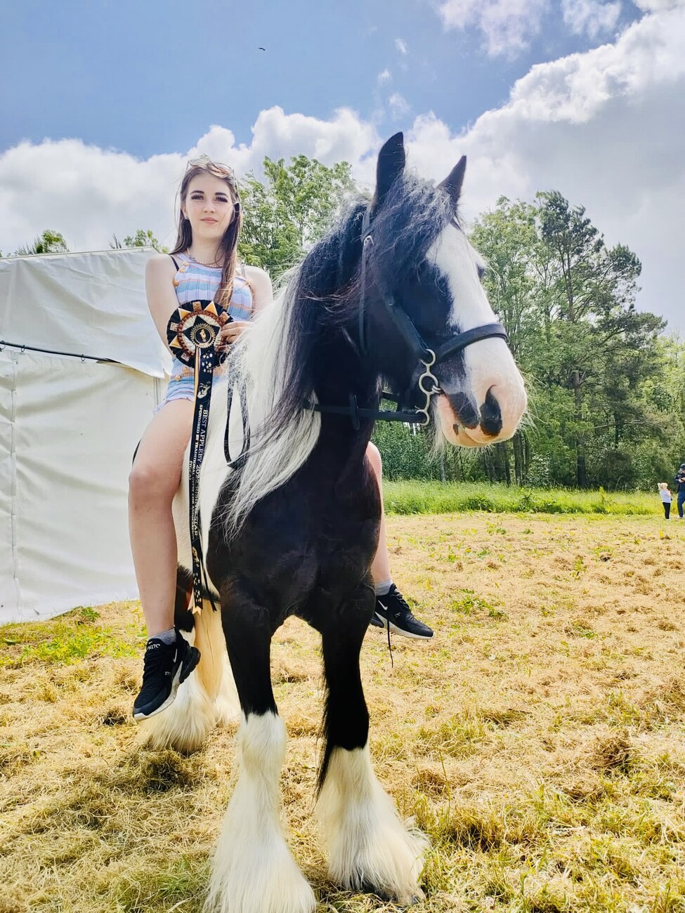 Everyone's a winner! Best at Appleby horse awards return to the fair ...