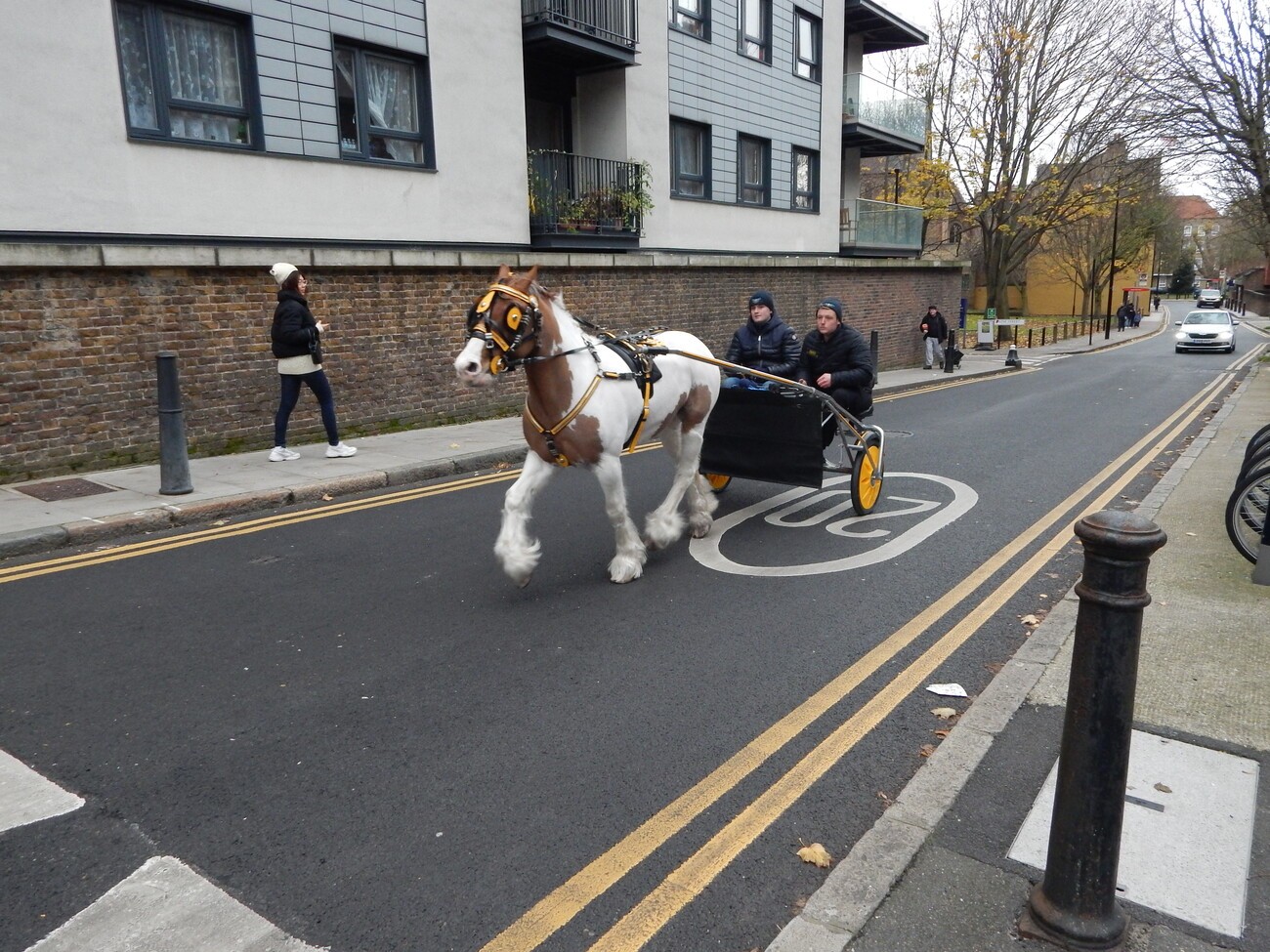 They came, they saw, they trotted on! - London Xmas drive 2022 ...