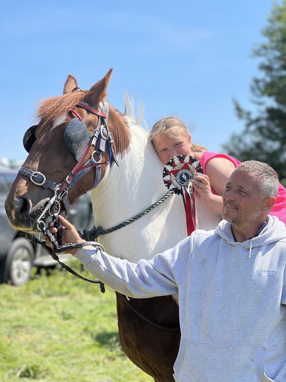EIGHTEEN HORSE WELFARE AWARDS GIVEN OUT AT APPLEBY FAIR | Travellers Times