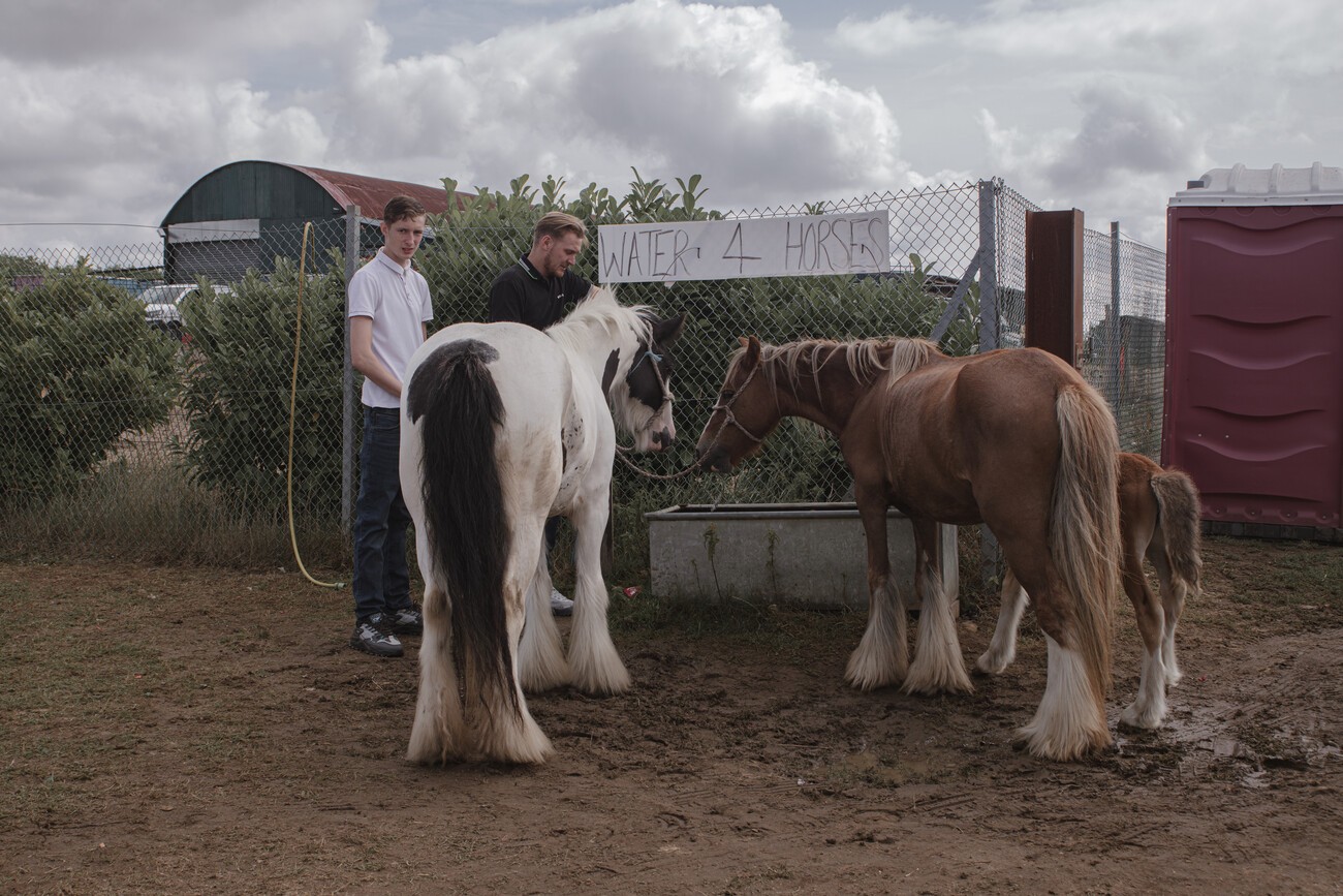 Kent Horse Fair Thrives as Visitor Numbers and Stallholders Soar ...