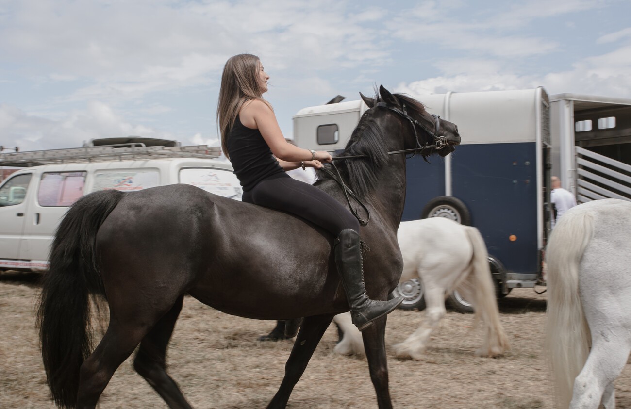 Kent Horse Fair Thrives as Visitor Numbers and Stallholders Soar ...