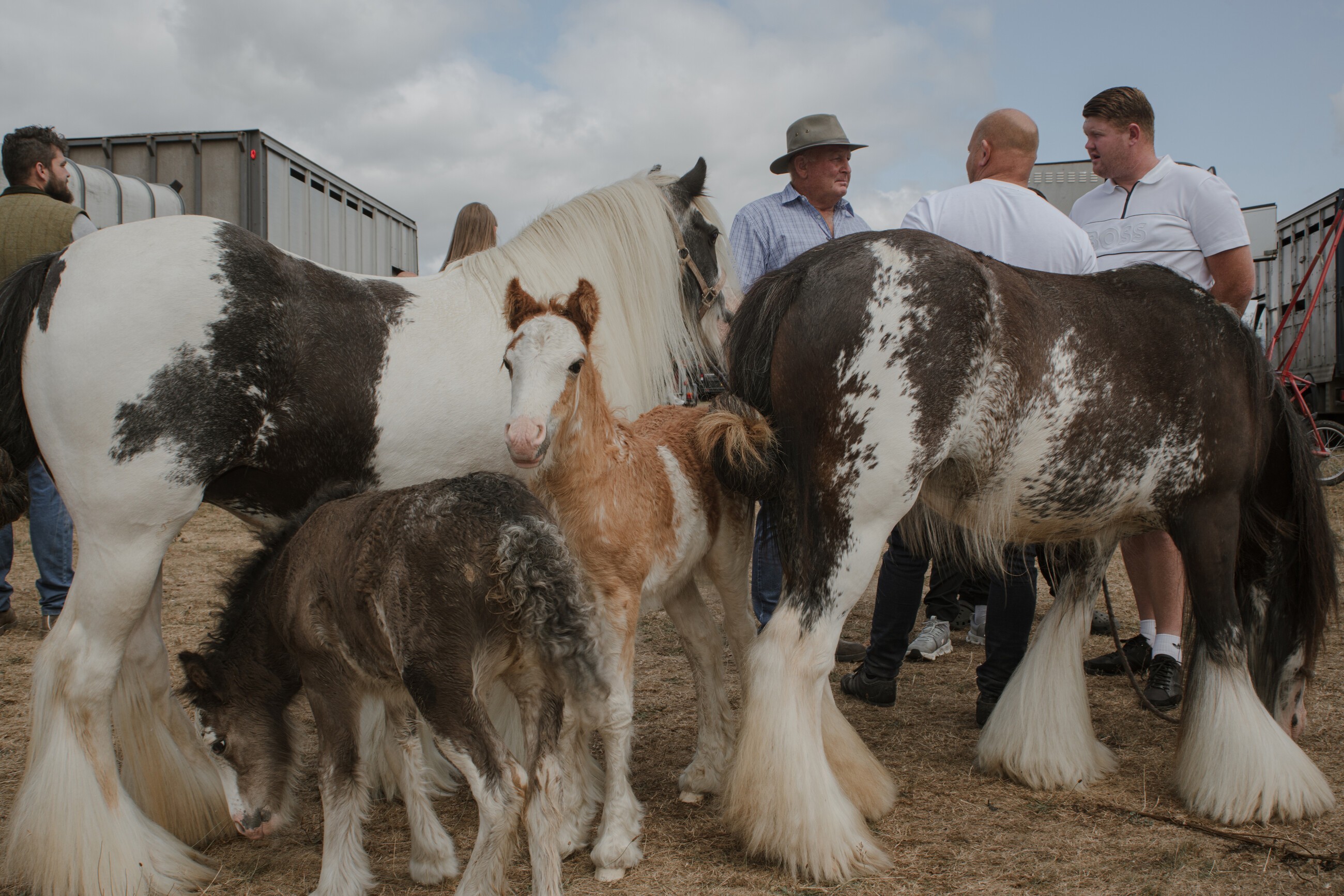Kent Horse Fair Thrives as Visitor Numbers and Stallholders Soar ...