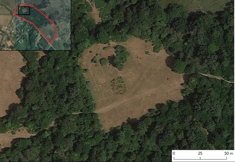 Southampton University to remember New Forest Romany 'rehabilitation ...