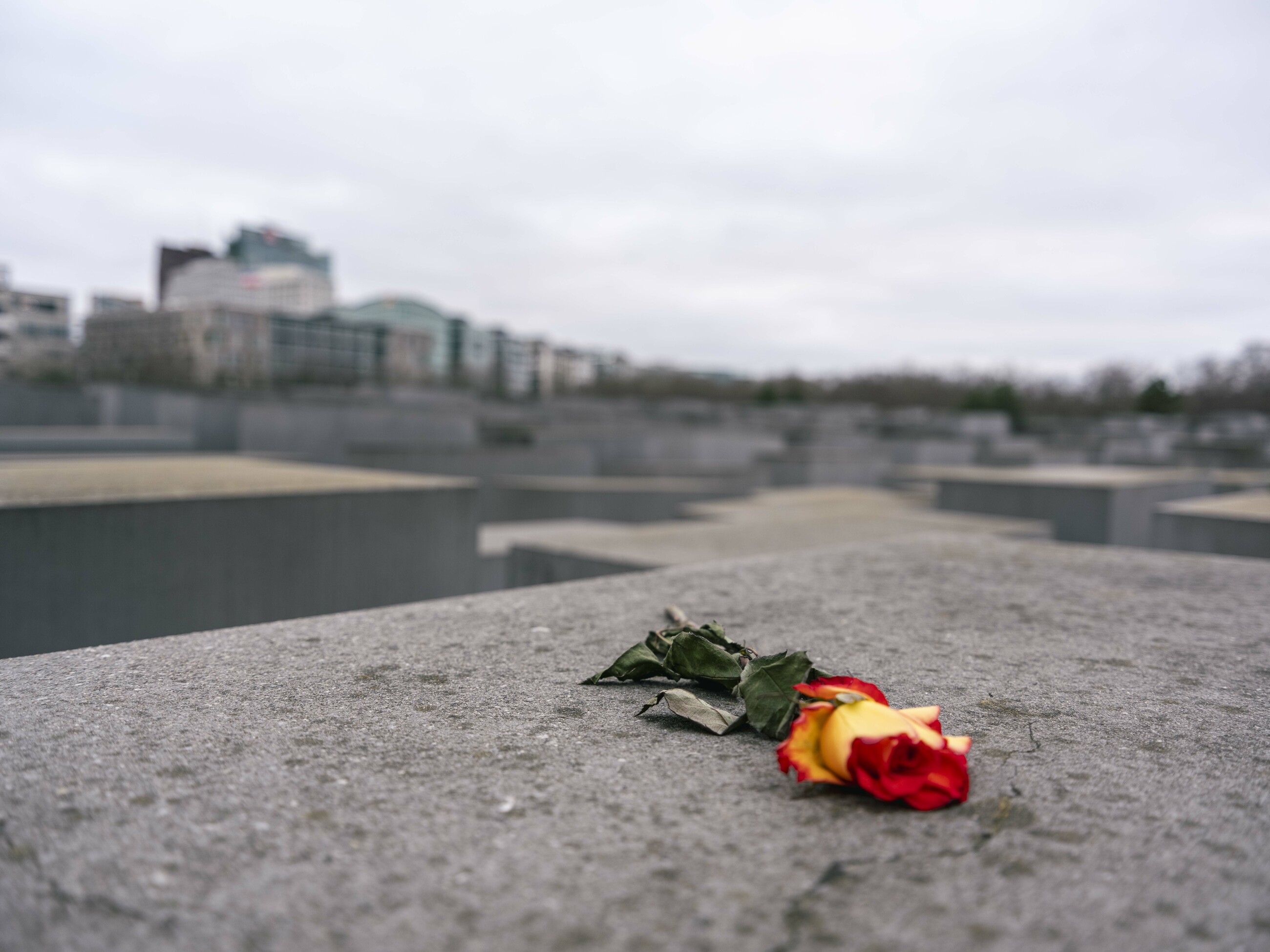 A VOICE FOR REMEMBRANCE: CHRISTIAN PFEIL'S JOURNEY FROM THE UN TO ...