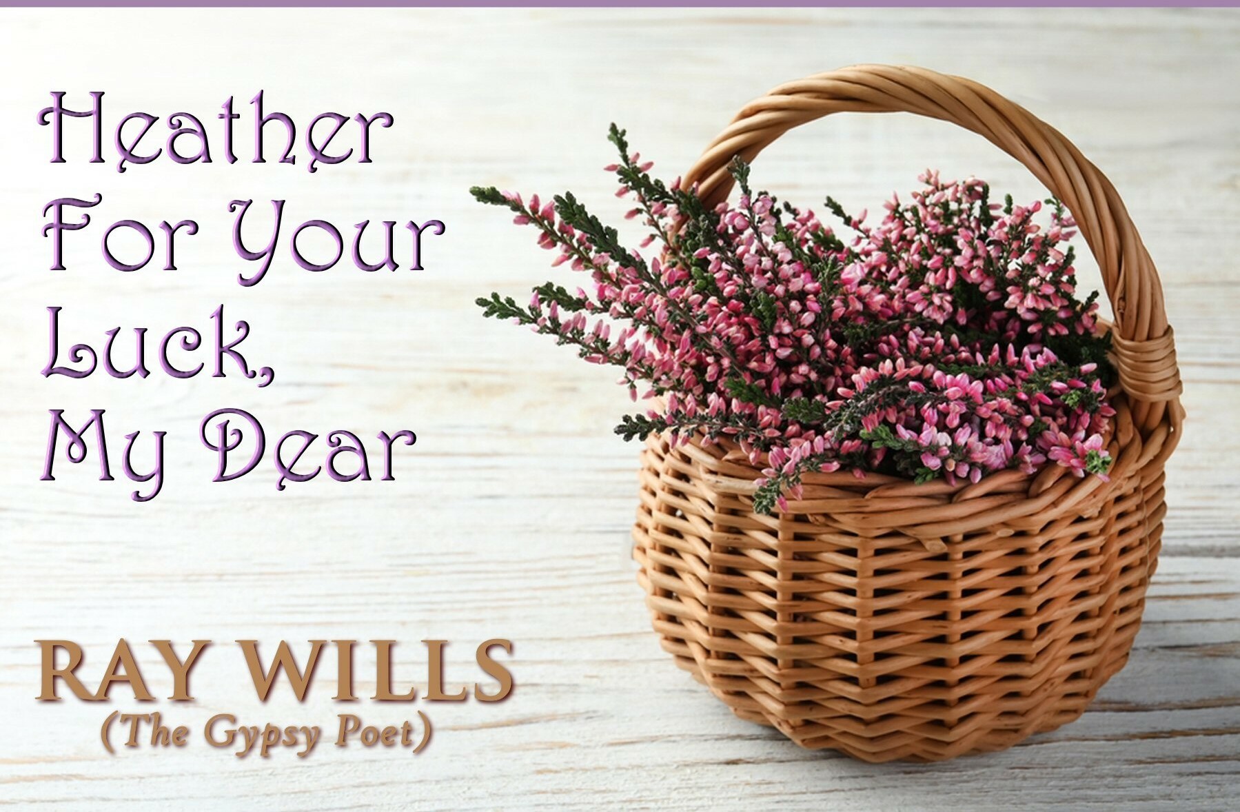 Book Review: Heather For Your Luck My Dear ‘soul-soothing’ says Stacey ...