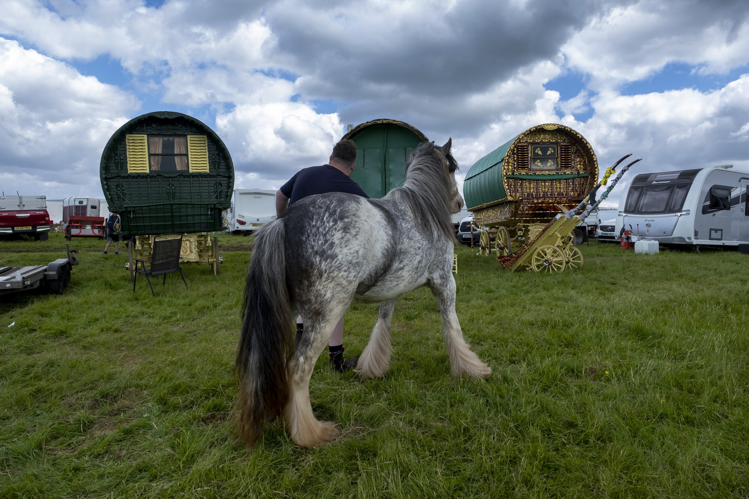 “It is very important to keep this tradition alive” – Vardos at Appleby Fair | Travellers Times