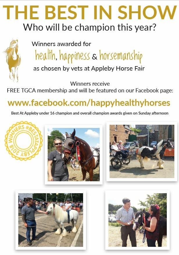 The Best in Show at Appleby Horse Fair | Travellers Times