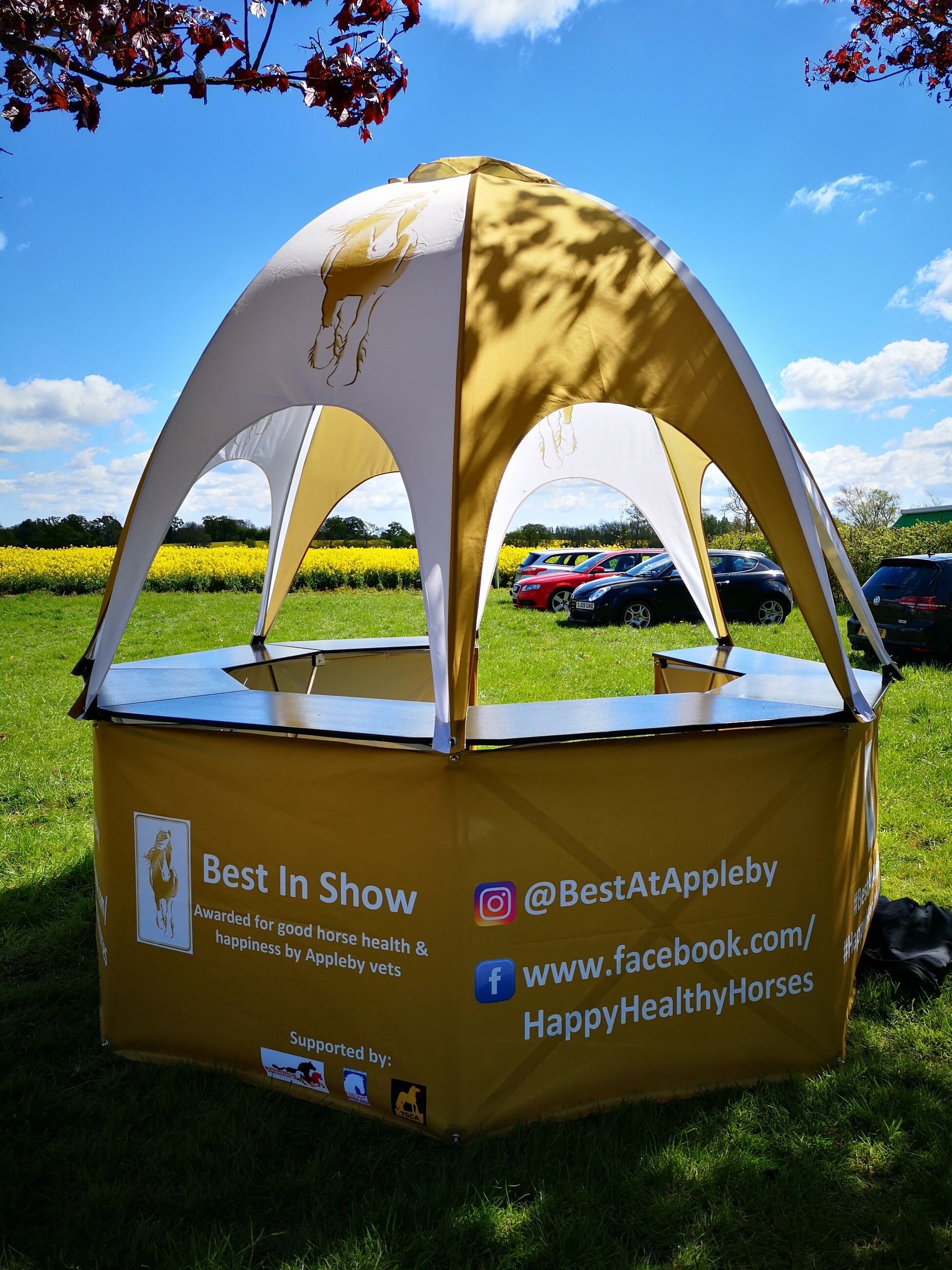 The Best in Show at Appleby Horse Fair | Travellers Times