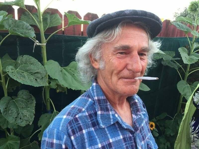 Heritage fund is keeping alive the Welsh Romany language for future ...