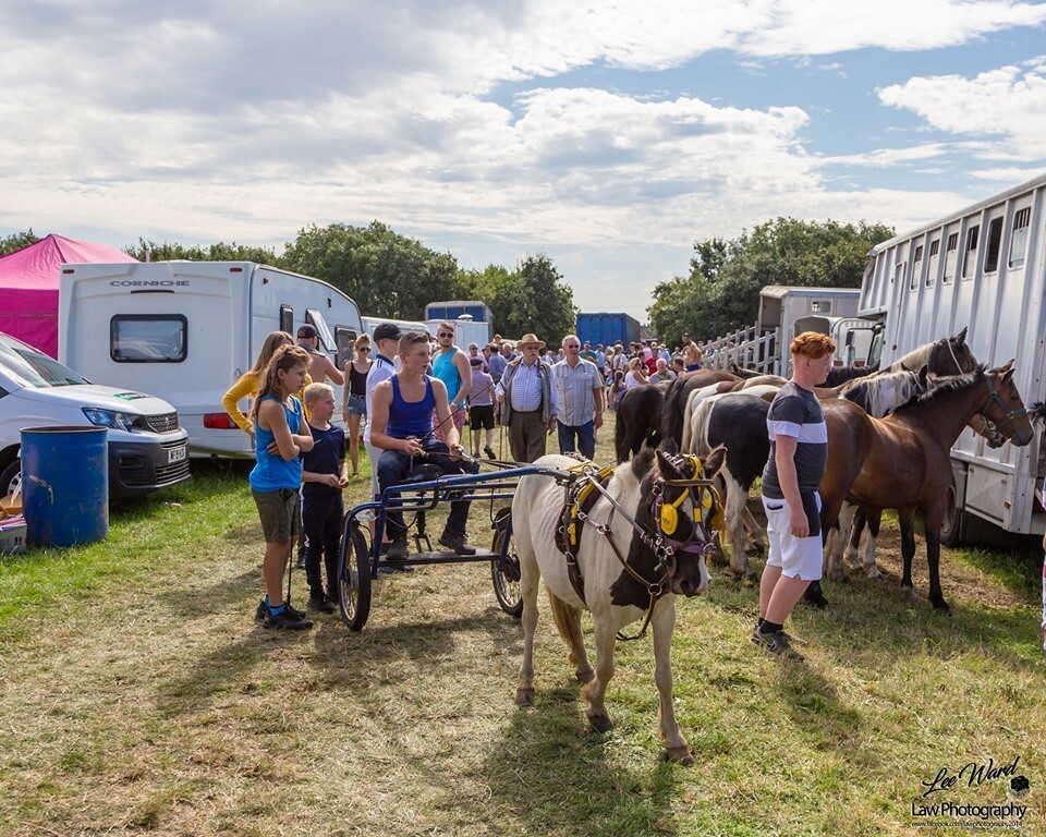 The sun shines down on Lee Gap Fair - photos by Lee Ward at Law Photography | Travellers Times