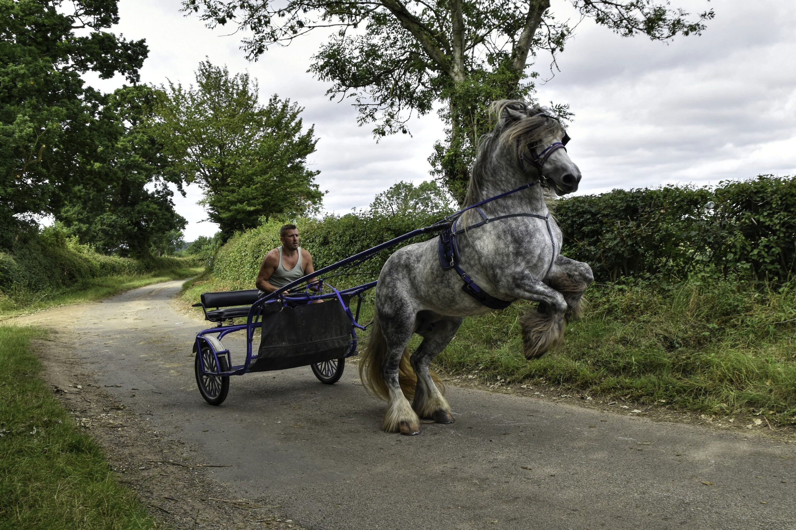 All the fun of the horse fair - photo feature | Travellers Times