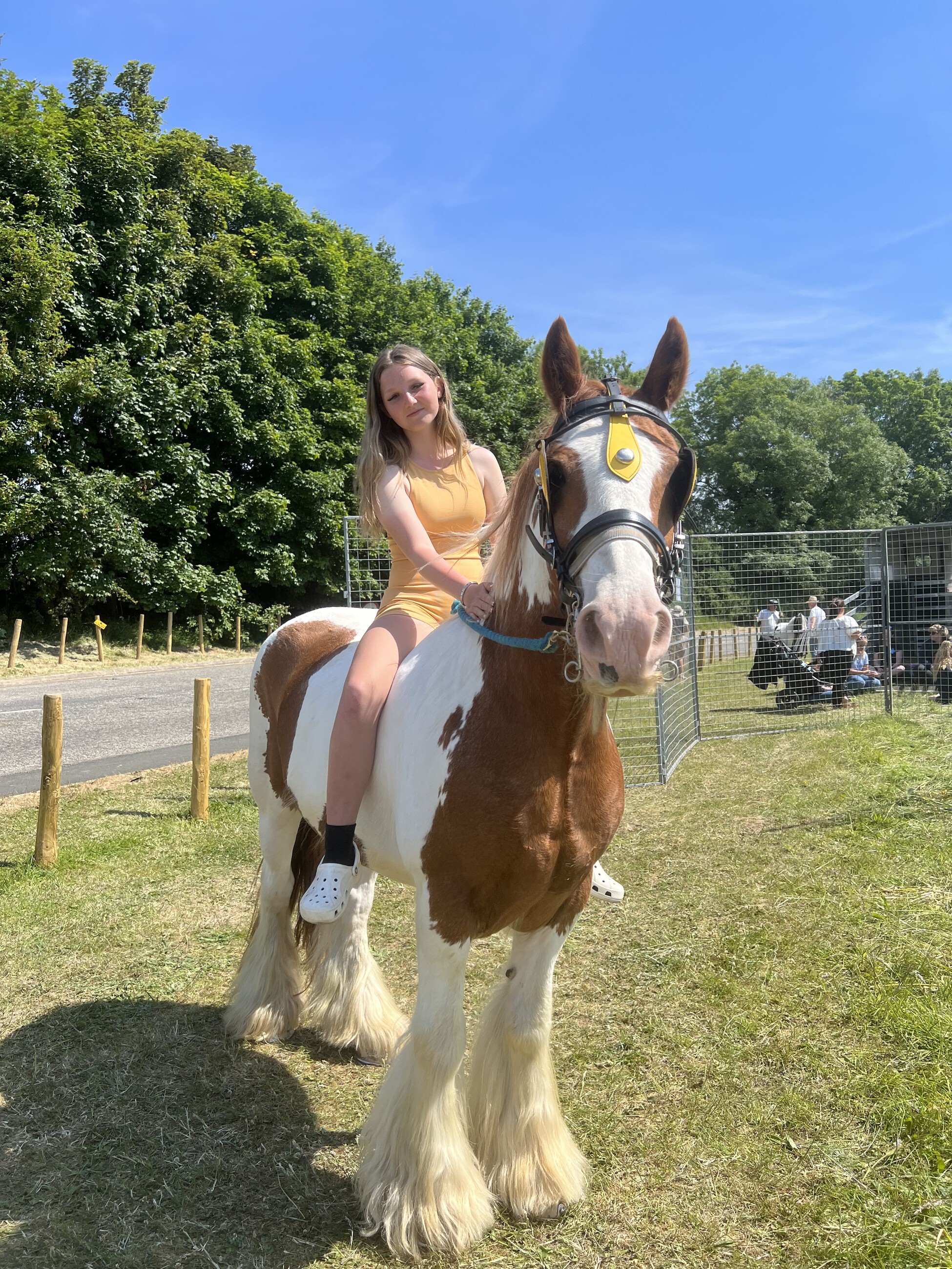 EIGHTEEN HORSE WELFARE AWARDS GIVEN OUT AT APPLEBY FAIR | Travellers Times