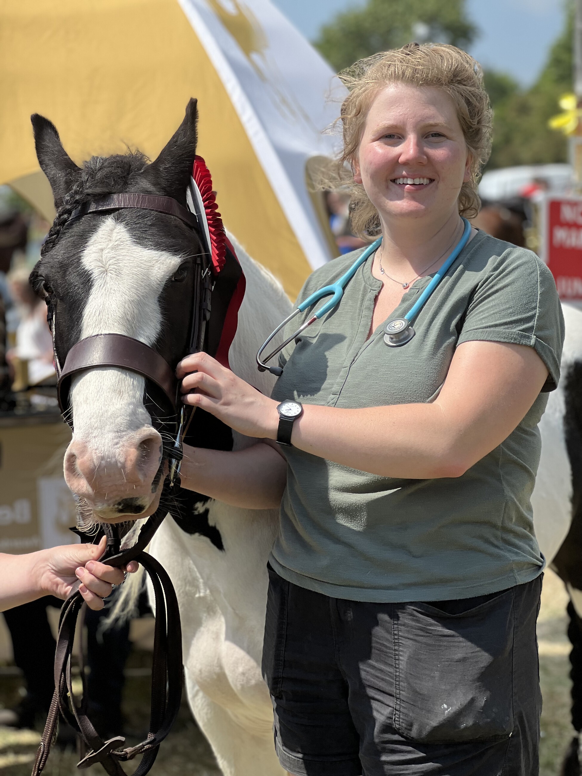 EIGHTEEN HORSE WELFARE AWARDS GIVEN OUT AT APPLEBY FAIR | Travellers Times