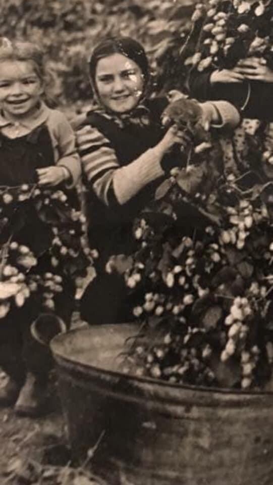 Horsmonden - 'the Hoppers Fair', by Dee Cooper | Travellers Times