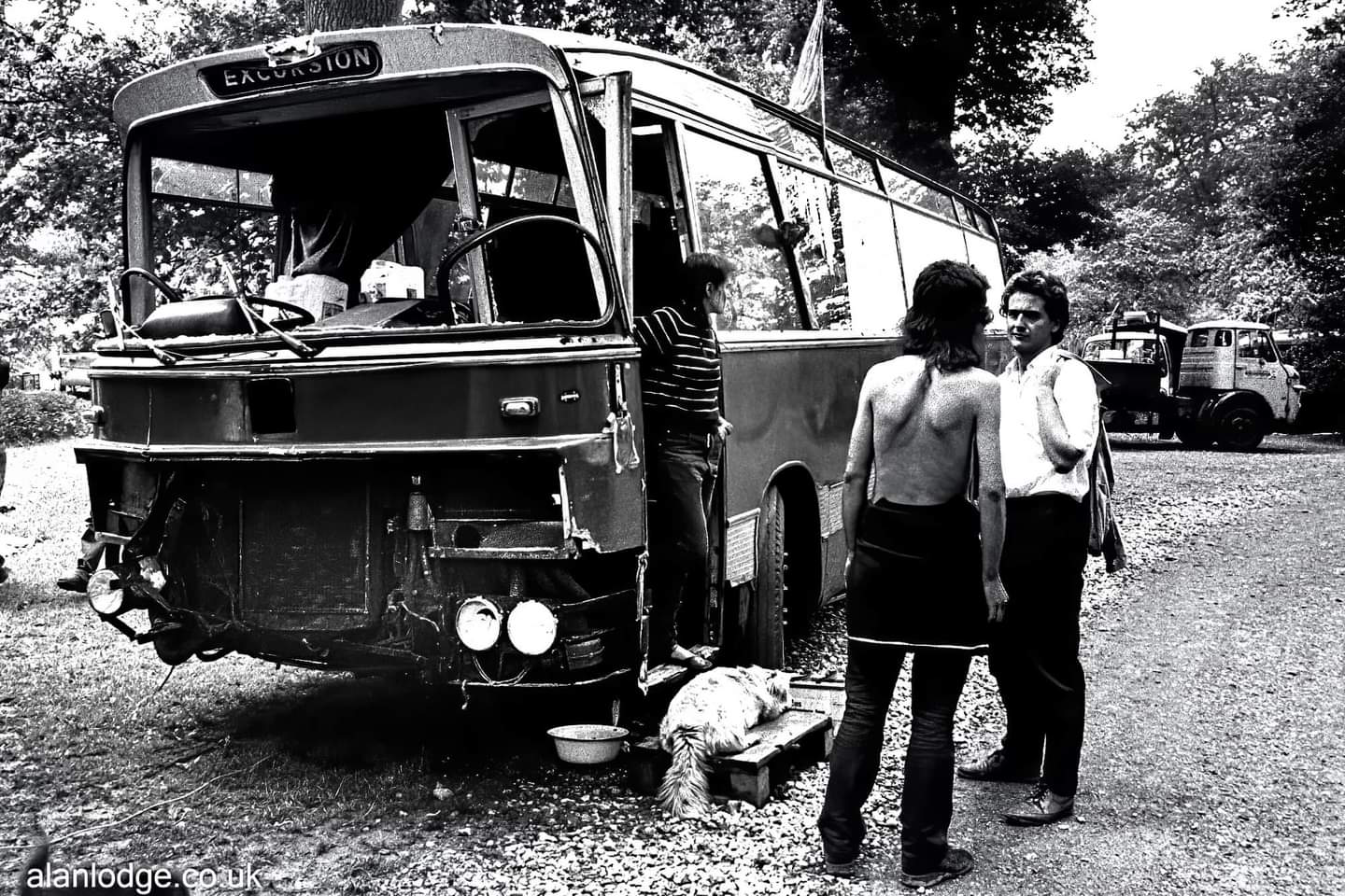 New Travellers rally round after speeding van kills tethered horse ...