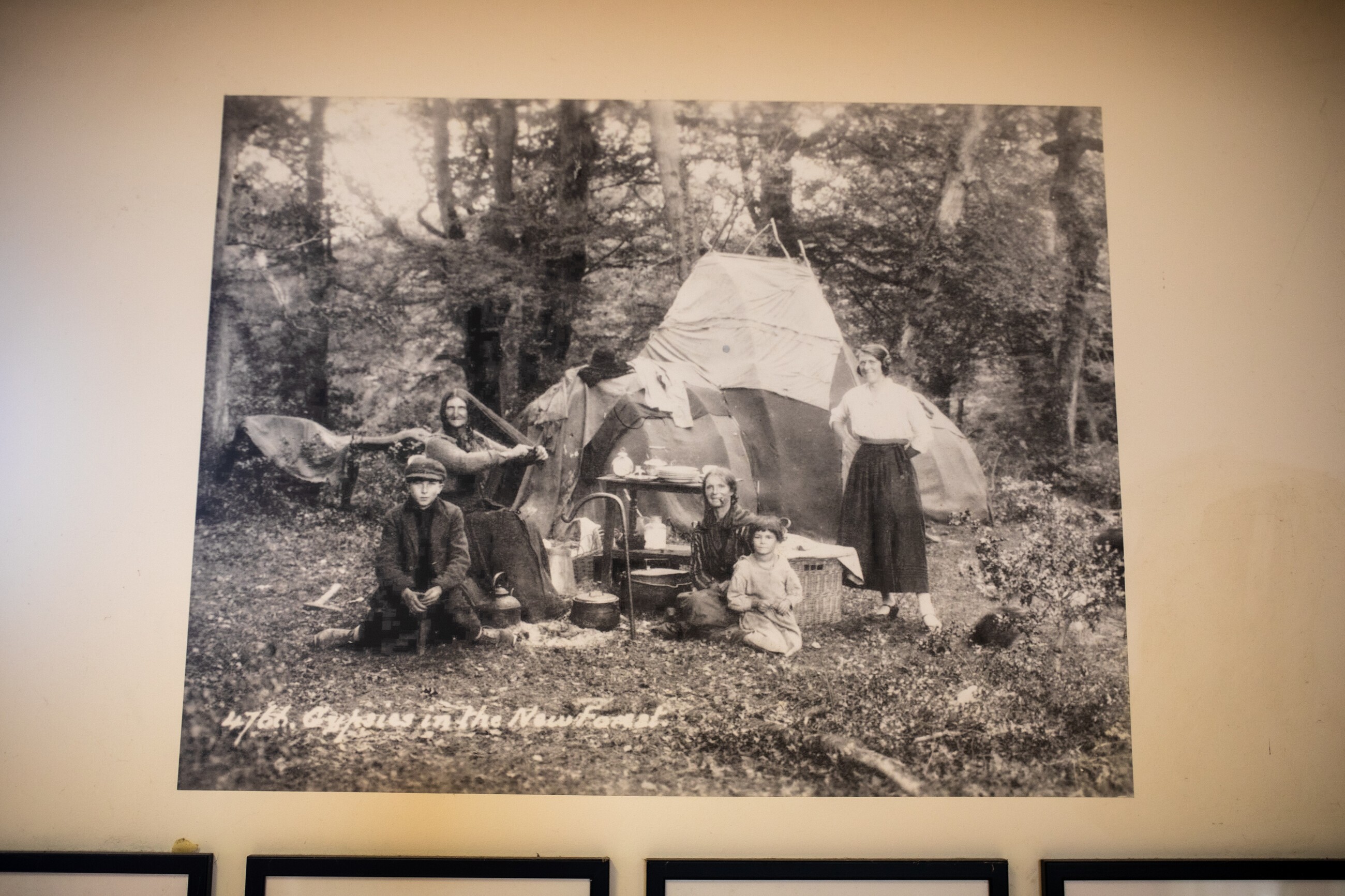 Celebrating 500 years of Romany history in the New Forest | Travellers ...