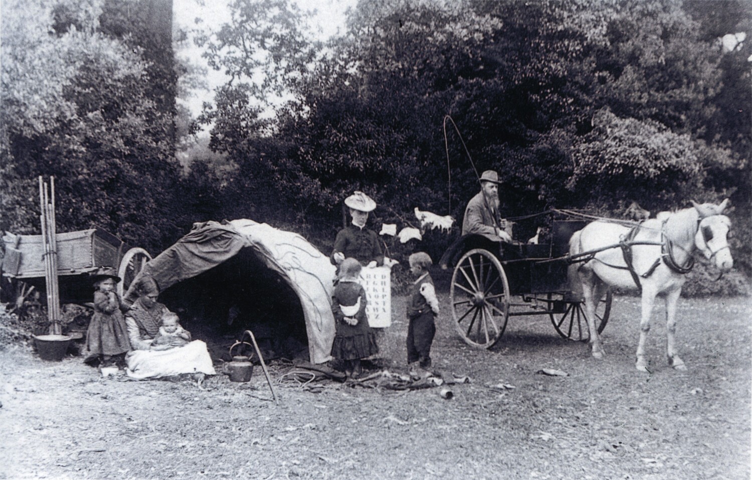 Celebrating 500 years of Romany history in the New Forest | Travellers ...