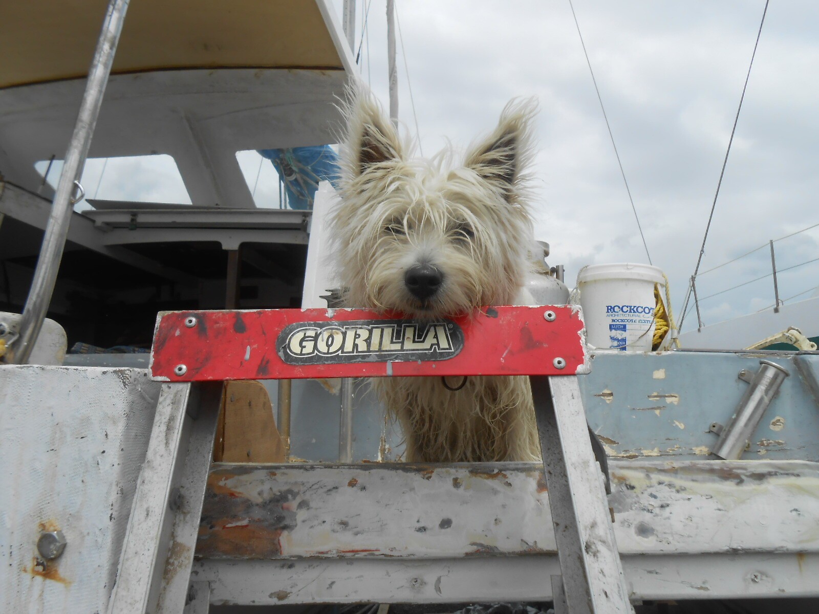 Romany campaigner Bob Lovell fighting to save NZ boatyard | Travellers ...