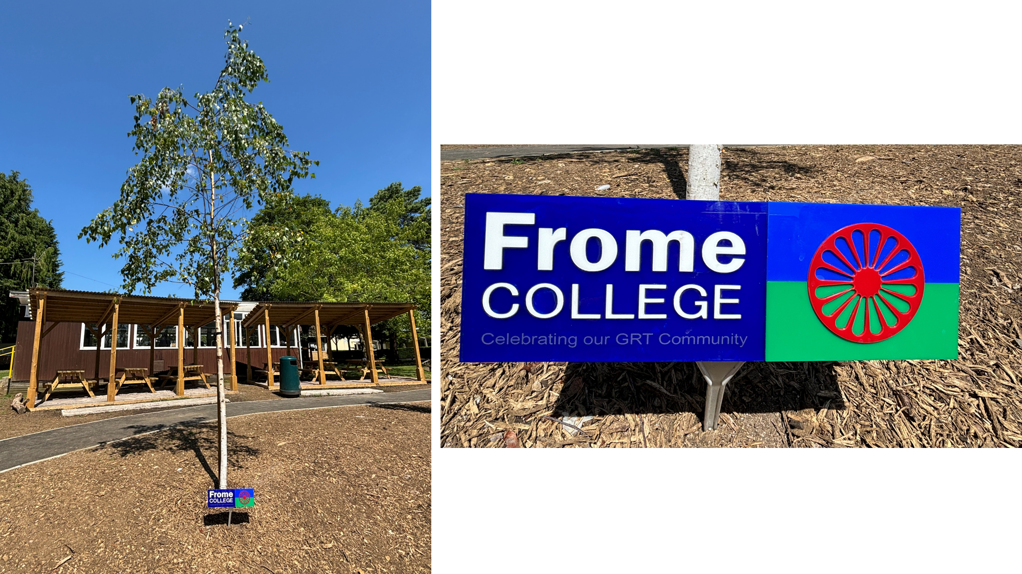Former student Tyler Brown leads positive change for Travellers at ...