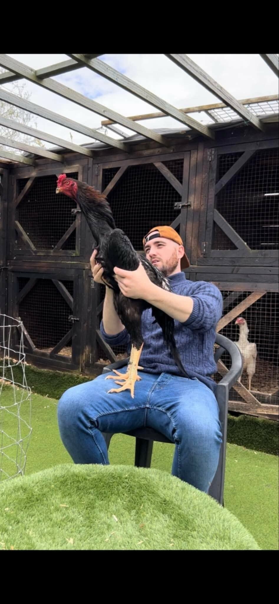 Game Birds UK cock-a-hoop after raising £££ for charity! | Travellers Times