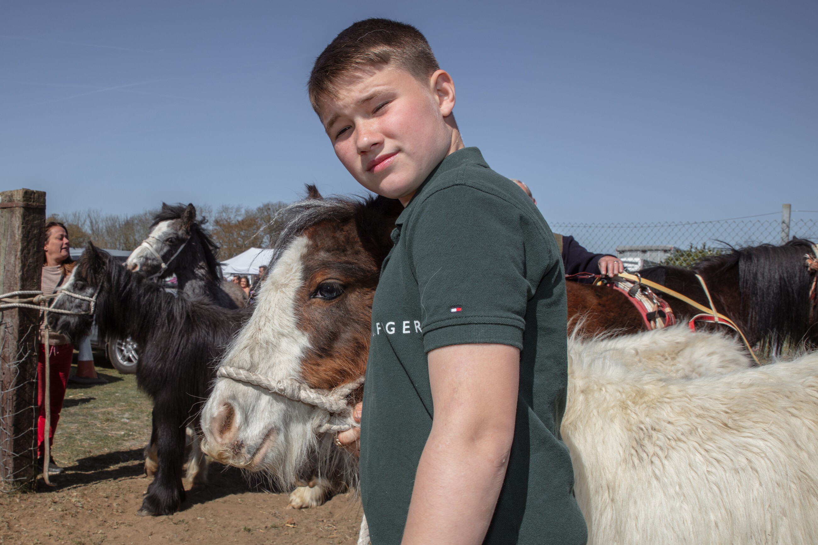 Kent Horse Fair 2025 - success in the sun | Travellers Times