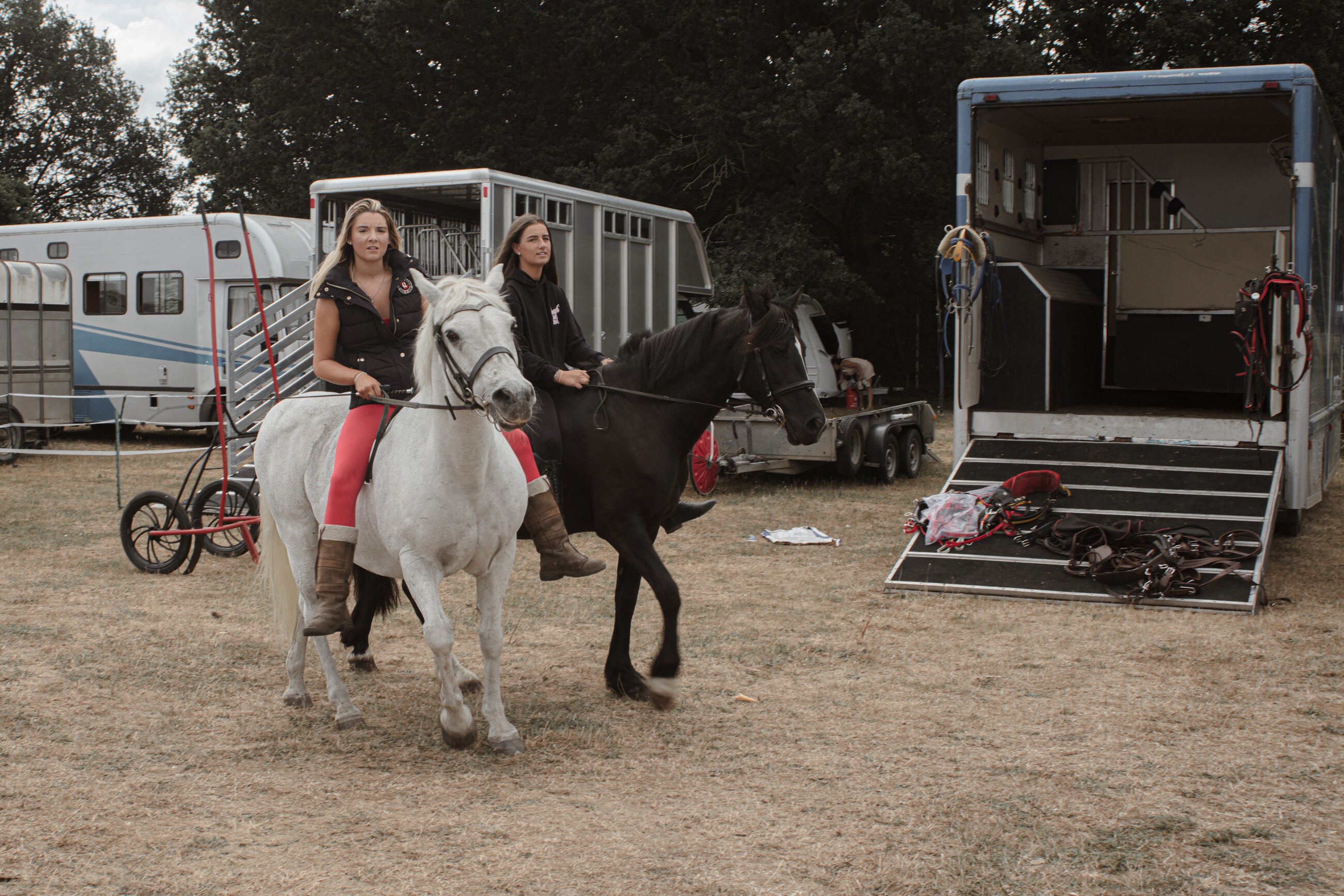 Kent Horse Fair Thrives as Visitor Numbers and Stallholders Soar ...