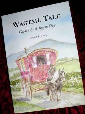 Book review: Wagtail Tale by Peter Ingram | Travellers Times