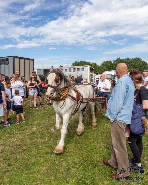 The sun shines down on Lee Gap Fair - photos by Lee Ward at Law Photography | Travellers Times