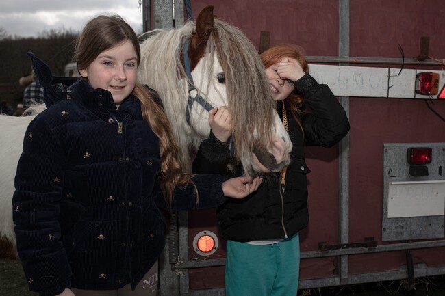 Kent Horse Fair 2023 - a TT photo-feature | Travellers Times