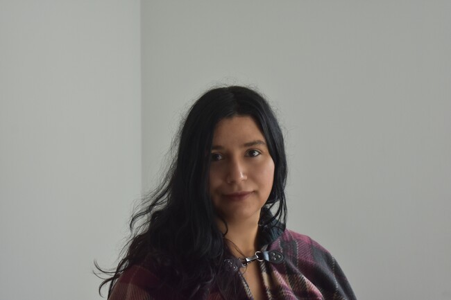 Books: The Roma - A Travelling History, by Madeline Potter | Travellers Times