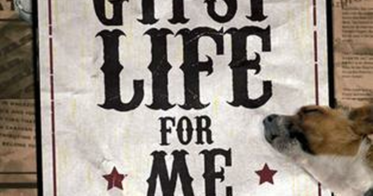A Gypsy Life For Me | Travellers Times