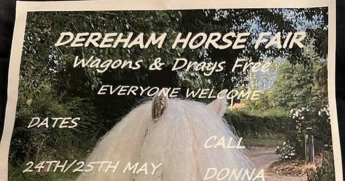Dereham Horse Fair 2025 | Travellers Times
