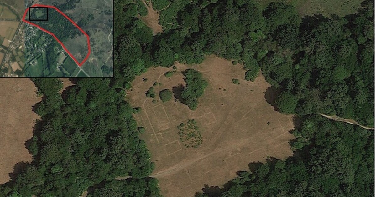 Southampton University to remember New Forest Romany 'rehabilitation ...