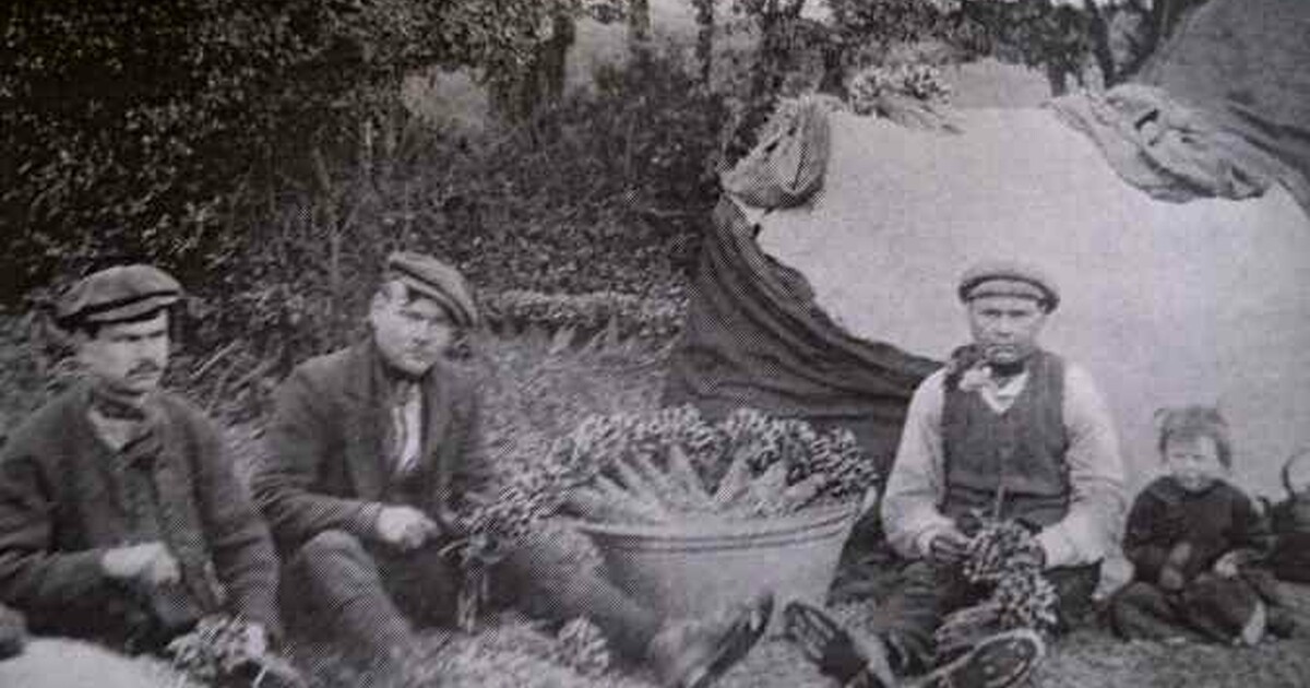 Extermination of a People through destruction of a way of life ...