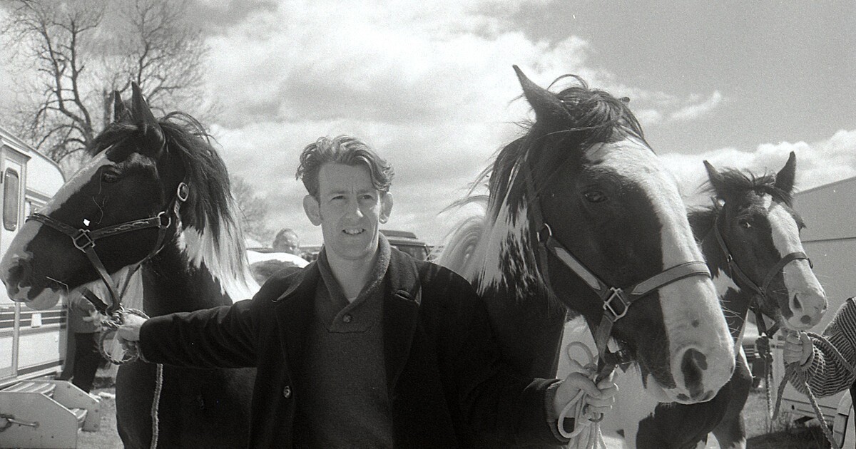 From horse trader, scrap dealer and oil rig worker to photographer ...