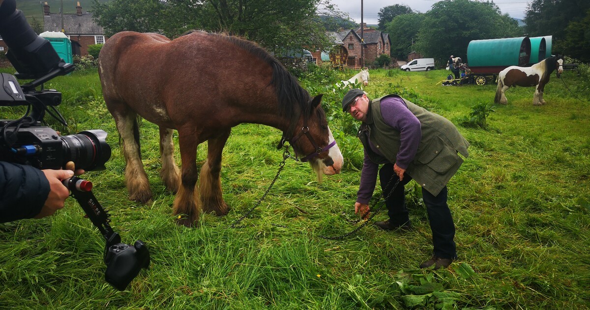 How to tether horses safely - A Redwings Horse Sanctuary film ...