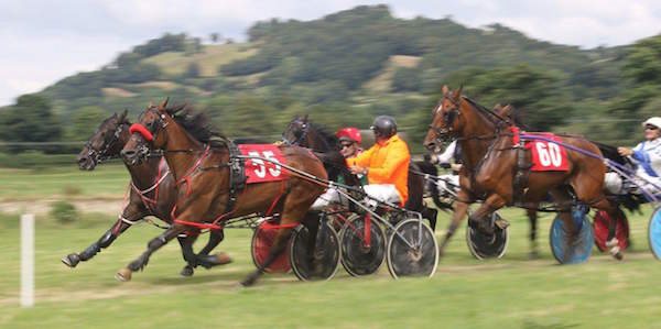 Richy-Boy Evans on competitive trotting – interview by Chris Smith ...