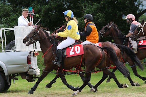 Richy-Boy Evans on competitive trotting – interview by Chris Smith ...