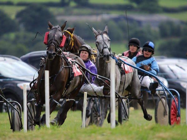 Richy-Boy Evans on competitive trotting – interview by Chris Smith ...