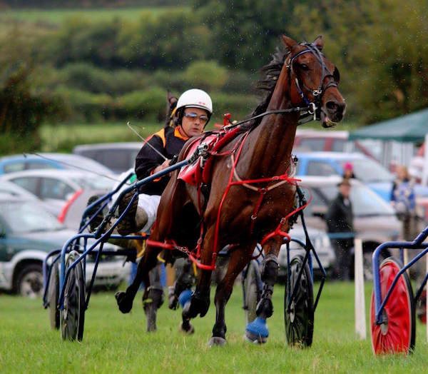 Richy-Boy Evans on competitive trotting – interview by Chris Smith ...